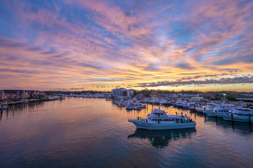 Rudee Tours | Virginia Beach Dolphin Watching, Fishing Trips & Boat Rides