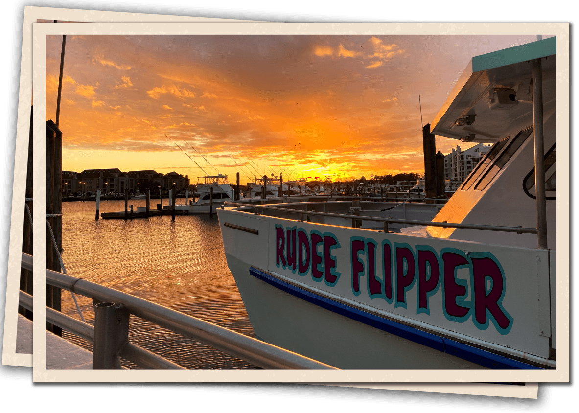 Rudee Tours | Virginia Beach Dolphin Watching, Fishing Trips & Boat Rides